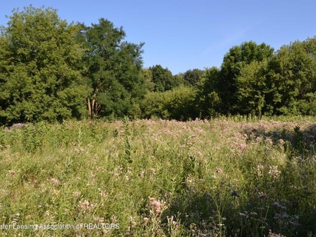 Edgar Rd, Leslie, MI 49251