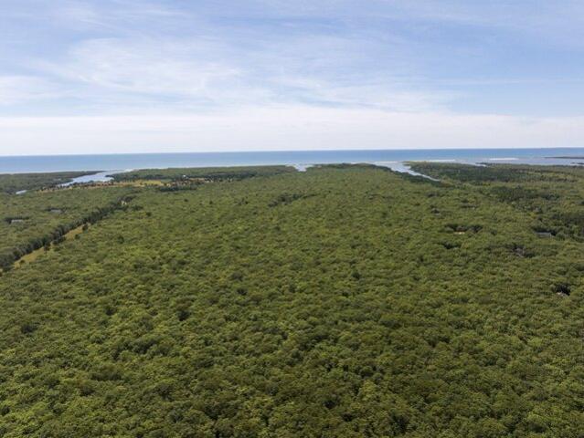 Edgartown west Tisbury Rd, West Tisbury, Plot For Sale