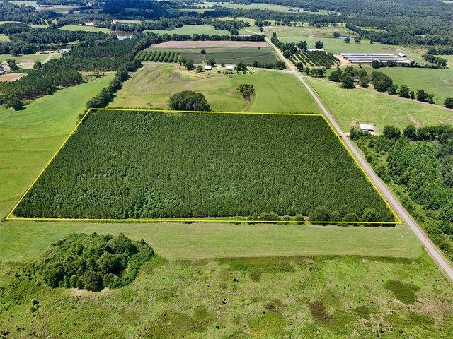 Edgefield Rd, Clayton, AL 36016