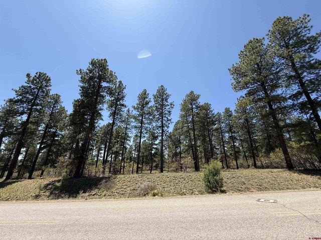 Edgemont Highlands Dr, Durango, CO 81301