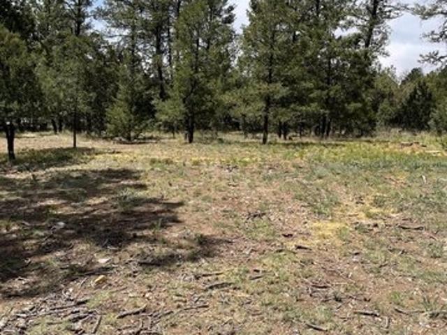 Edgewood Ct, La Luz, NM 88337