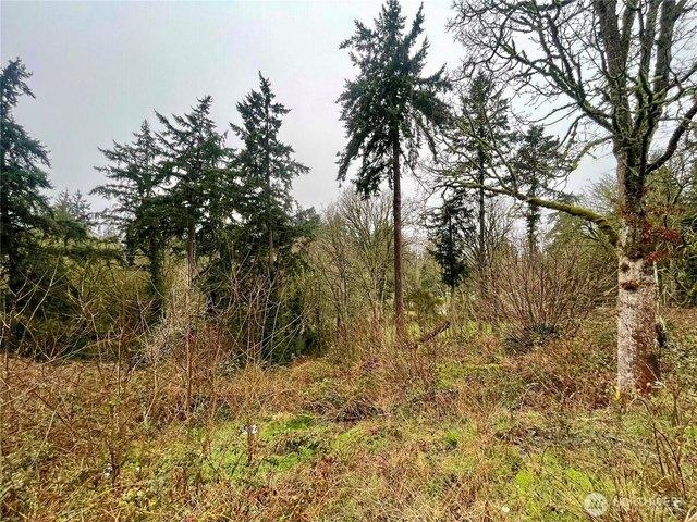 Edgewater Dr SW, Lakewood, WA 98499