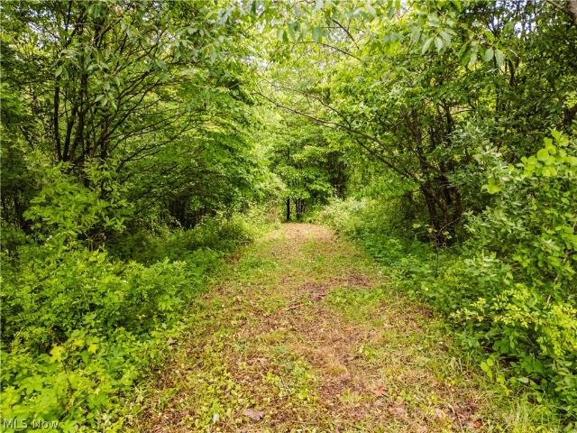 Edie Hill Road