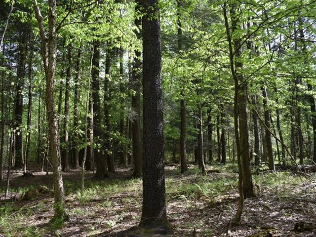 Edward Corners Rd, Perrysburg, Plot For Sale