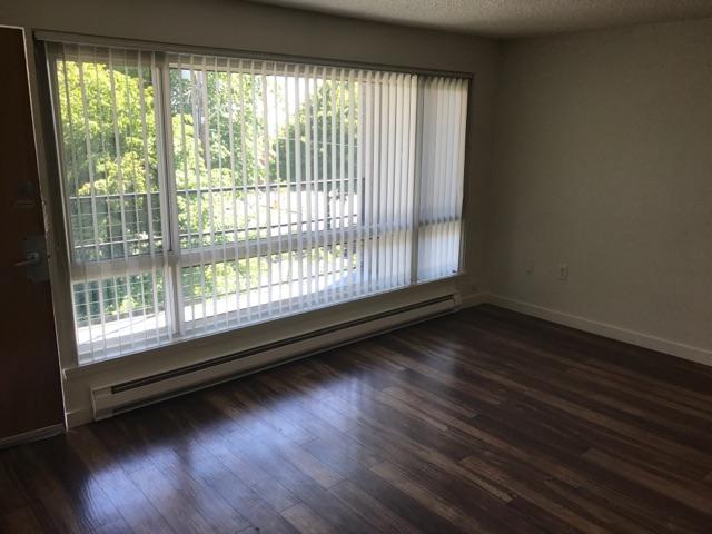 Effortless Living Near the Alaska Junction – The Webster Apartments 2 Bedroom Apartment for Rent at 4228 Sw Dawson St, Seattle, WA 98136 Fairmount Park