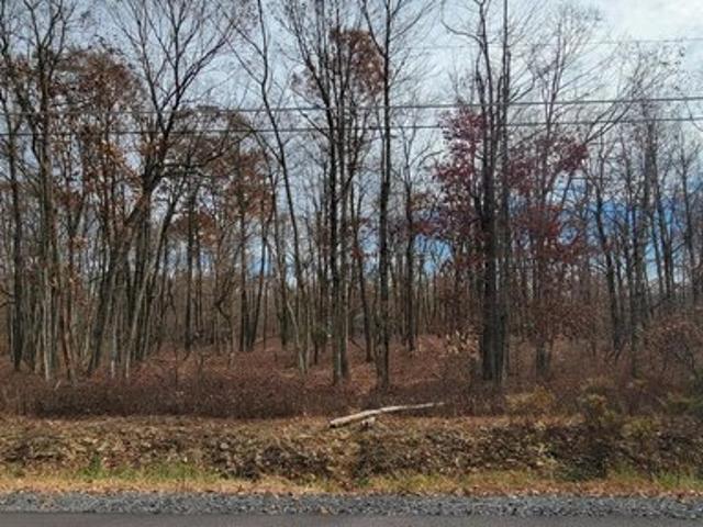 Eh Turnberry Ln Lot 176, Hazle Township, PA 18202