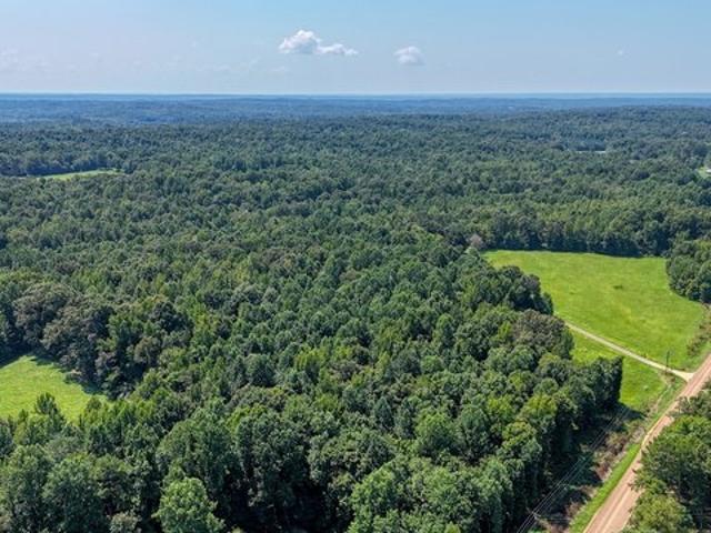 Eighteen Loop, Toone, TN 38381