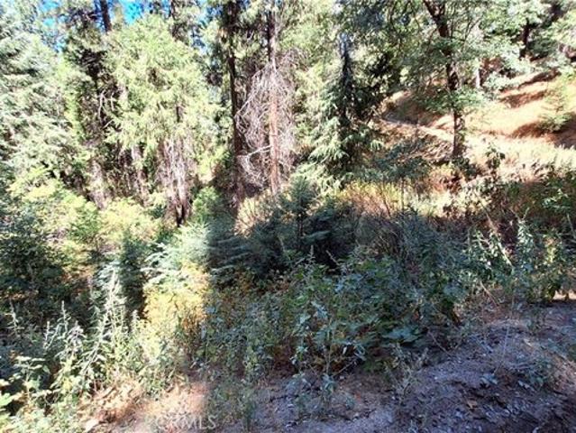 El Valle, Cedarpines Park, CA 92322