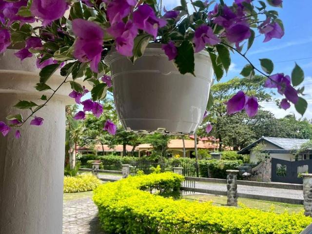 El Valle de Anton, Cocle, PA
