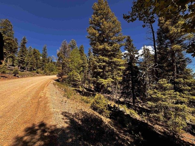 El Camino Real Lot 1536, Angel Fire, NM 87710