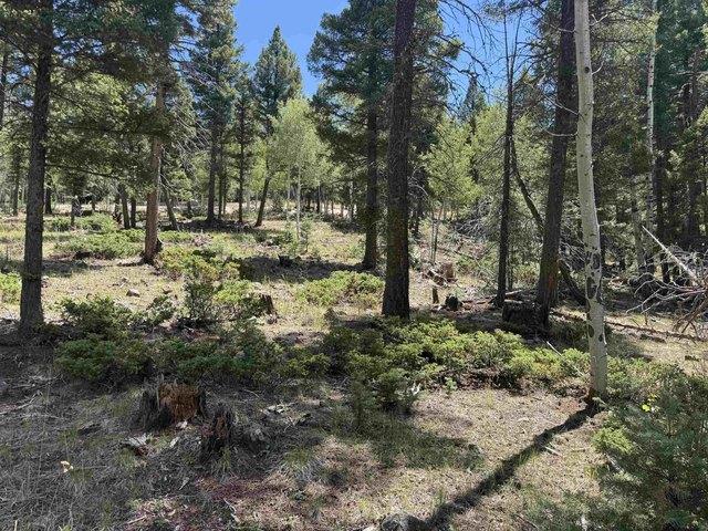 El Camino Real Lot 561, Angel Fire, NM 87710