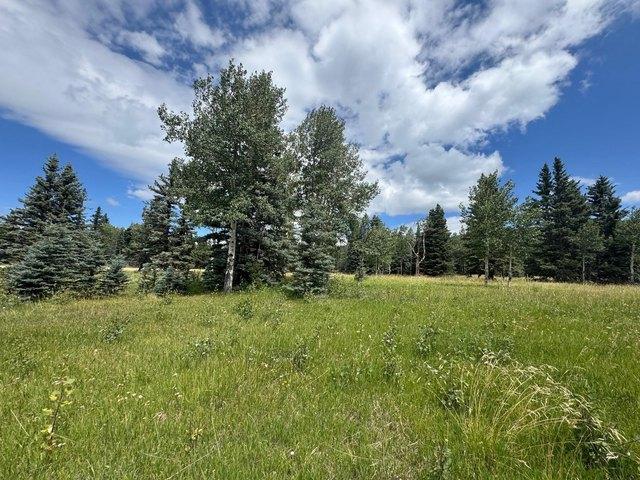 El Camino Real Lot 80, Angel Fire, NM 87710