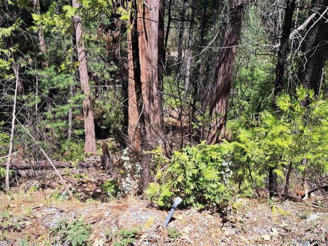 El Dorado County, Pollock Pines, CA 95726 | MLS #41024 | Compass