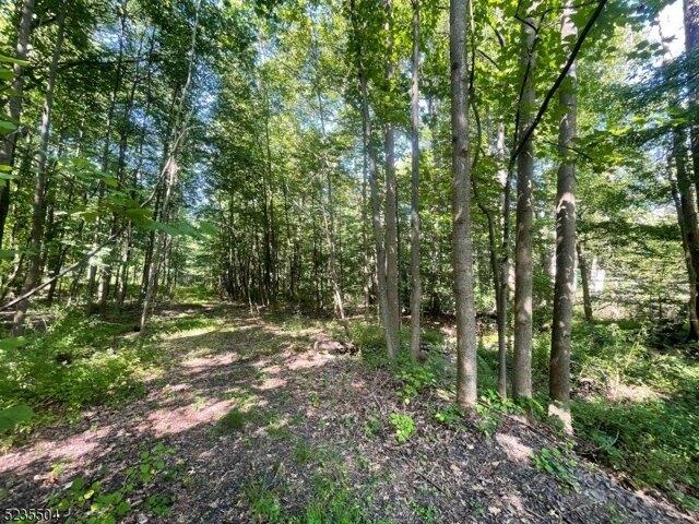 Elm Ave, Warren Twp, Plot For Sale