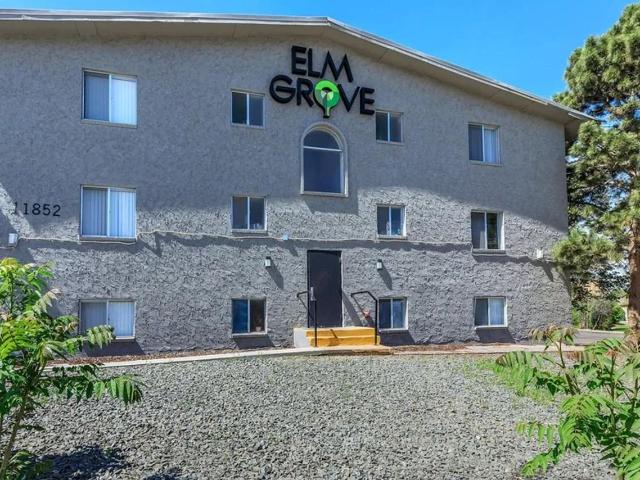 Elm Grove Apartments Studio Apartment for Rent at 11852 E 16th Ave, Aurora, CO 80010 North Aurora