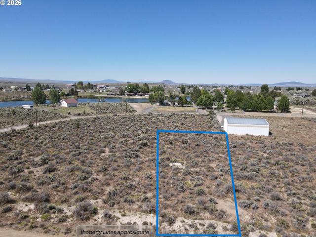 Elm LN # 7000