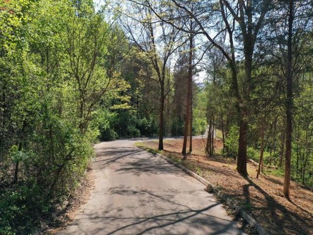 Elm Ln Lot 15, Sweetwater, TN 37874