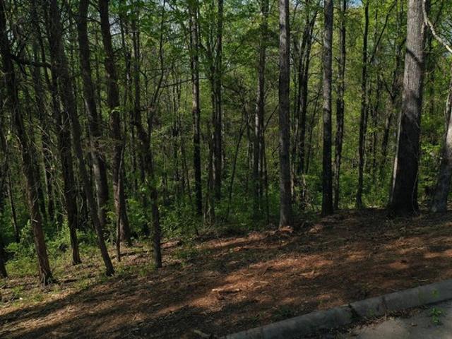 Elm Ln Lot 16, Sweetwater, TN 37874