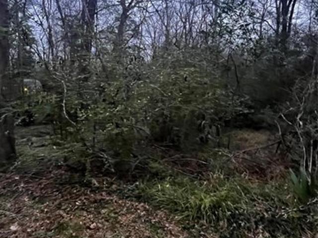 Elm St, Huffman, TX 77336
