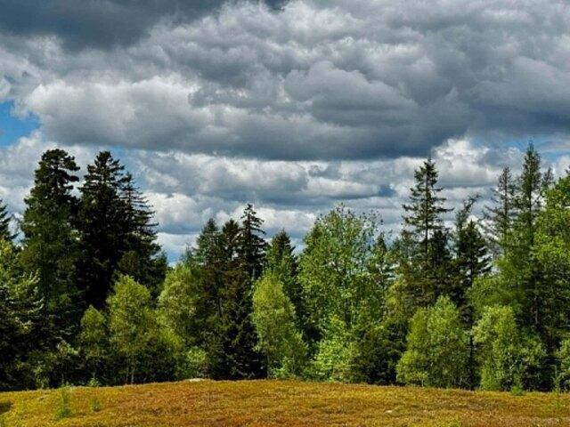 Elm St Lots And B, Machias, Plot For Sale