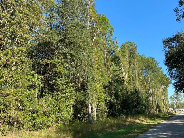 Elm Street, Picayune, MS 39466