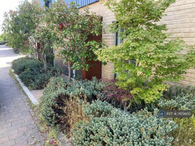 Elm Road, Cambridge, CB2 2 bed semi detached house to rent £2,995 pcm £691 pw