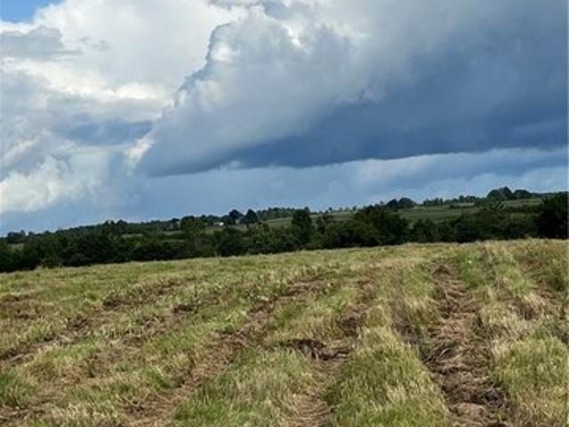 Elm Ridge Rd, Evans Mills, NY 13637