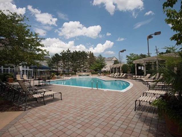 Elme Dulles 1 Bed | 1 Bath A1D