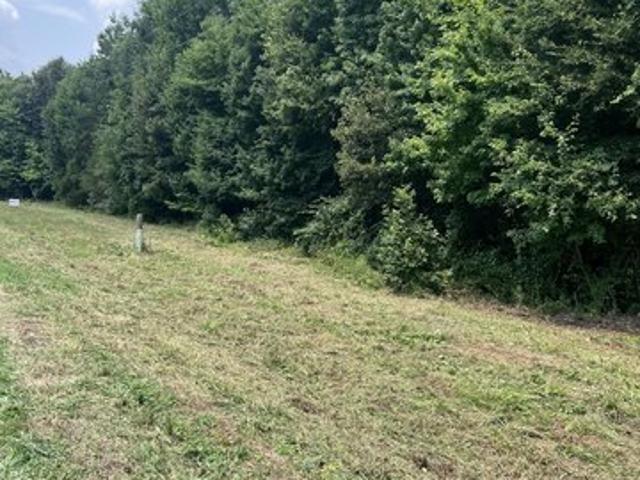 Elmer Moore Rd Lot 3, Siler City, NC 27344