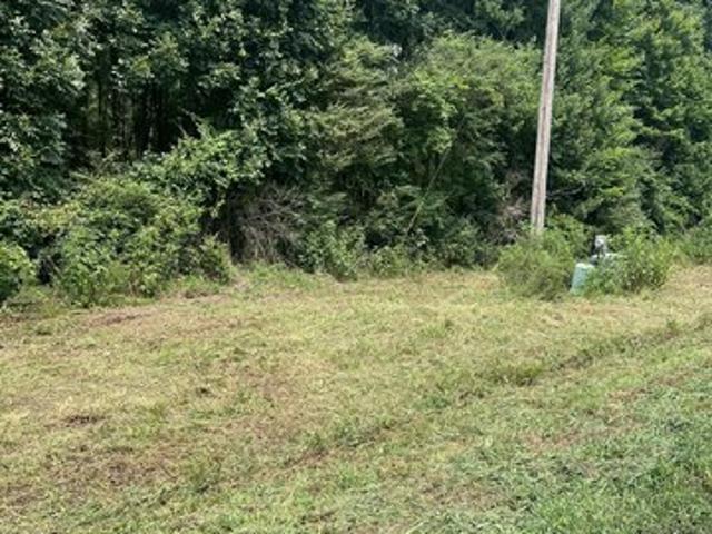 Elmer Moore Rd Lot 4, Siler City, NC 27344