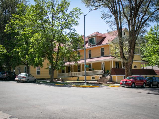 Elms