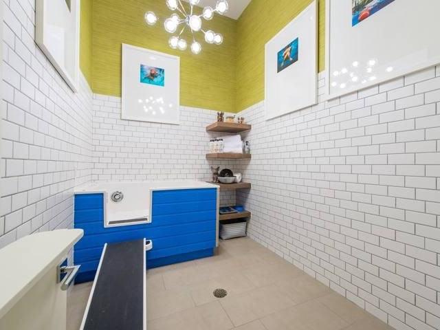 Elan Memorial Park 1 Bedroom Apartment for Rent at 920 Westcott St, Houston, TX 77007 Washington Ave Memorial Park
