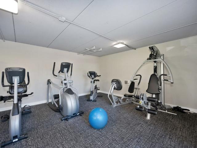 Elan Park Place Carlsbad Studio Apartment for Rent at 2603 Jefferson St, Carlsbad, CA 92008