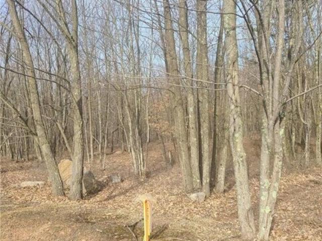 Elderberry Ln, Luzerne, Plot For Sale
