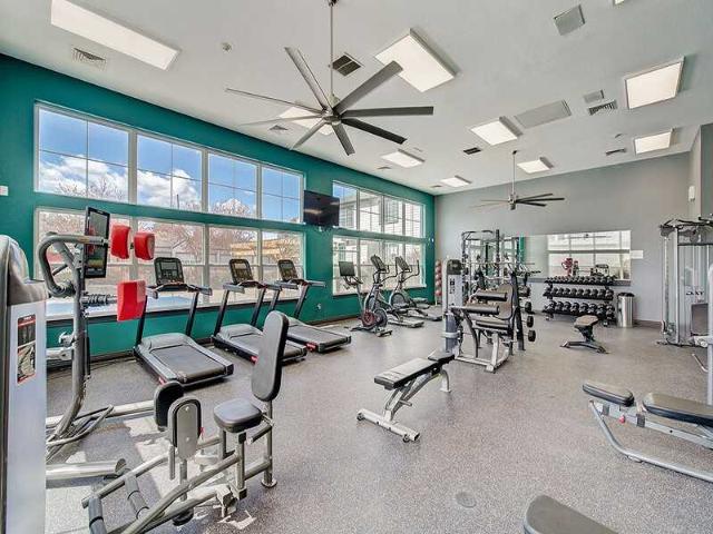 Elevate at Red Rocks 1 Bedroom Apartment for Rent at 409 Zang St, Lakewood, CO 80228 Union Square