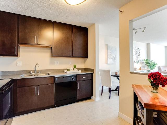 ELEVATE Apartment Homes 2 Bedroom Apartment for Rent at 1117 Marquette Ave, Minneapolis, MN 55403 Downtown West