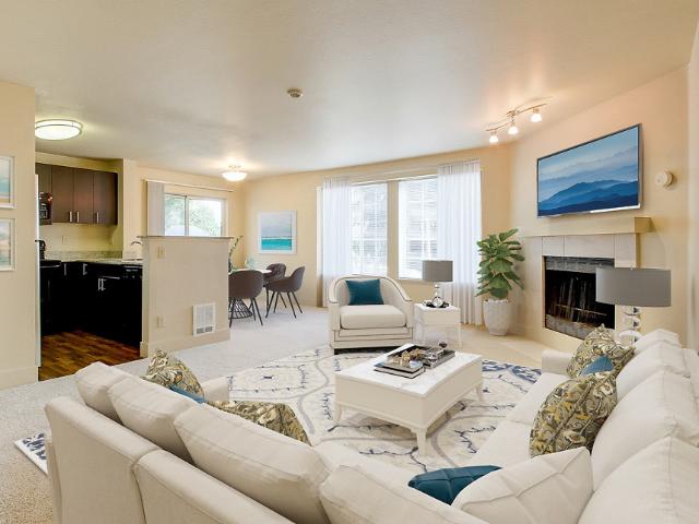 Elevation