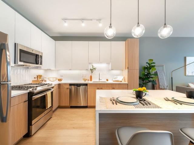 Eleven33 1 Bedroom Apartment for Rent at 1133 South Blvd, Oak Park, IL 60302