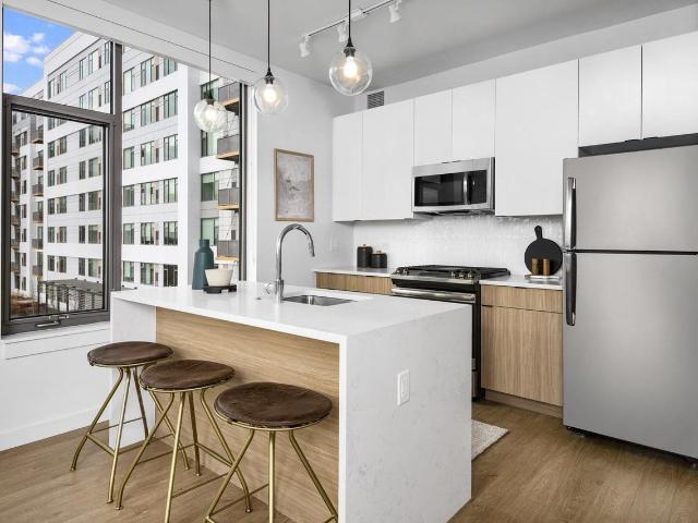 Eleven33 3 Bedroom Apartment for Rent at 1133 South Blvd, Oak Park, IL 60302