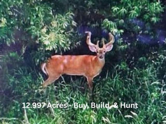 Eleys Ford Rd, Lignum, VA 22726