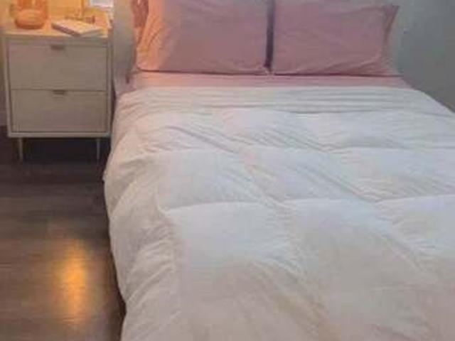 Elegant Room Available for the Right Roommate