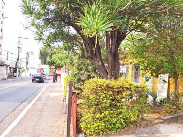 Versátil terreno residencial para venda em Chora Menino, 366m²