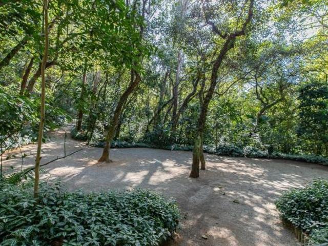 Excelente cobertura para venda em Panamby com 4 quartos, sendo 4 suítes, 305m² pedromassei#PWN6E