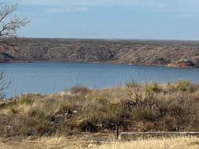 Elizabeth St, Fritch, TX 79036