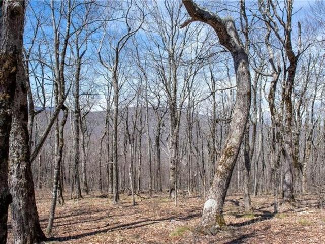 Elk Creek Mountain Pkwy Lot 100, Todd, NC 28684