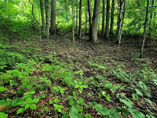 Elk Creek Mountain Pkwy Lot 18, Todd, NC 28684