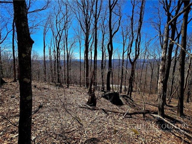 Elk Creek Mountain Pkwy Lot 78, Todd, NC 28684