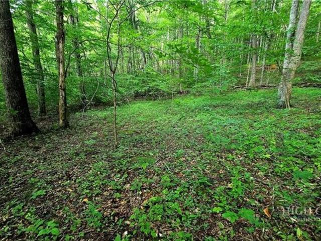 Elk Creek Prkwy Mtn Lot 11, Todd, NC 28684