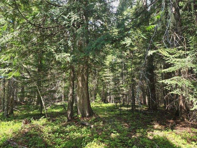 Elk Heights Ln Lot A1, Heron, MT 59844