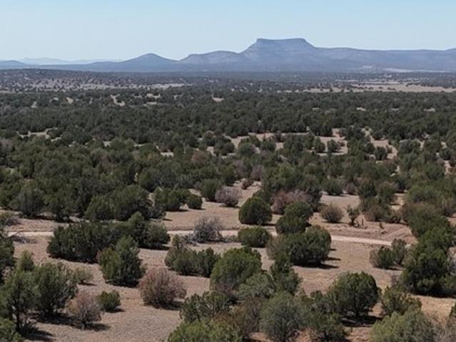 Elk Ln, Seligman, AZ 86337